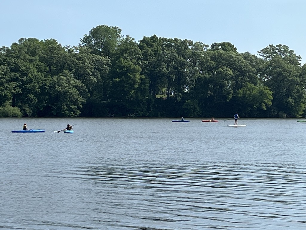 Live Feed | Lake Crystal Wellcome Memorial